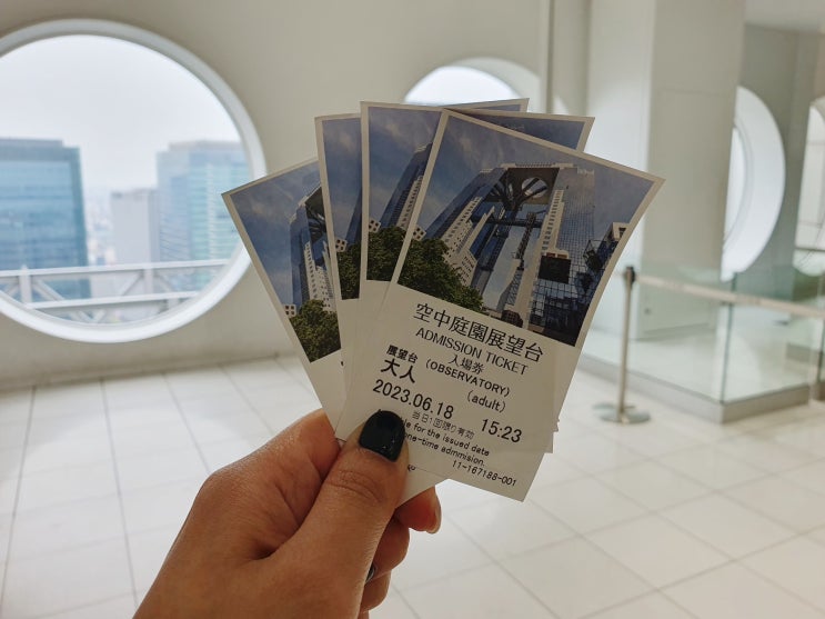 오사카 우메다 공중정원 전망대와 카페 메뉴 추천과 햅파이브 대관람차e Pass 사용 네이버 블로그