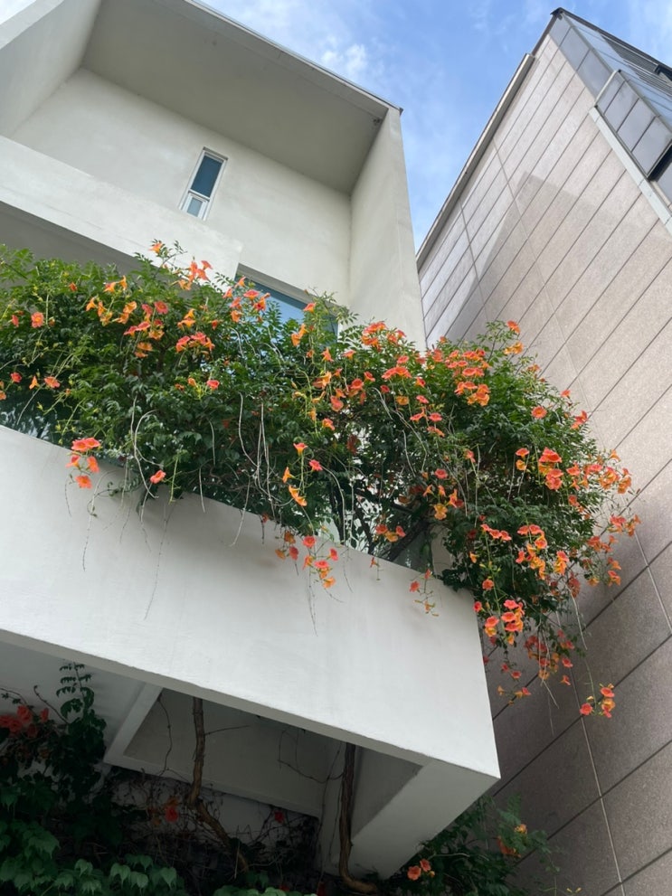 경남김해장유/샬로우커피(shallow coffee) : 네이버 블로그