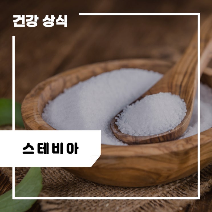 설탕 대체재 스테비아 효능 및 부작용 5가지 스테비아 방울토마토 네이버 블로그