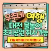 대전 동구 대별동 초지공원에서 아이들과 다슬기 물고기 잡고 관찰 가능한 물놀이 하고 왔어요 주차가능 취사가능 네이버 블로그