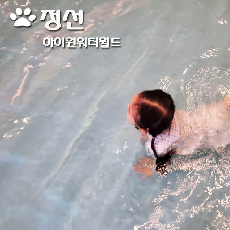 하이원 워터월드 정선 워터파크 준비물 할인 식당 수건 모자 구명조끼 네이버 블로그