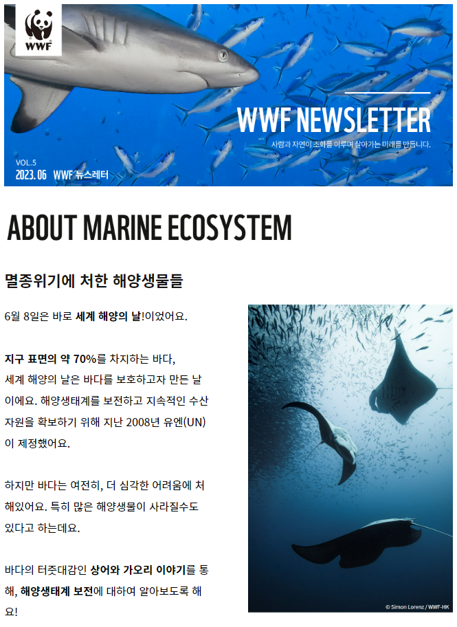 [6월 뉴스레터] 멸종위기에 처한 해양생물들 : 네이버 블로그