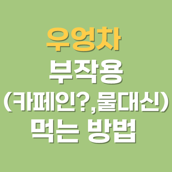 우엉차 부작용카페인 우엉차 만들기 네이버 블로그