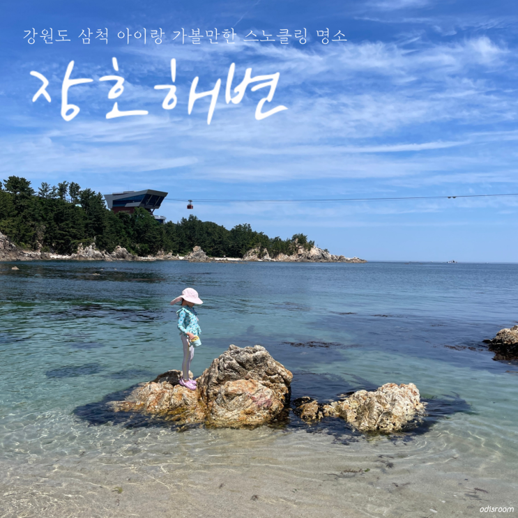 강원도 삼척 장호해수욕장 아이랑 가볼만한 해변 스노쿨링 주차 차크닉 네이버 블로그