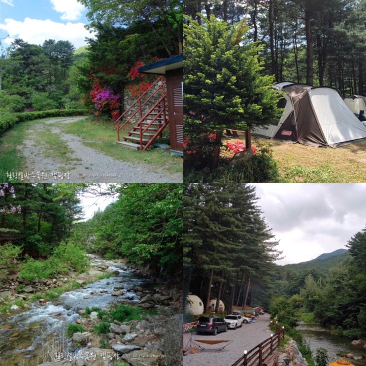 남양주 수동계곡 글램핑 오토 캠핑장 추천 카라반 노지캠핑 숙소 남양주 아이와 가볼만한곳 네이버 블로그