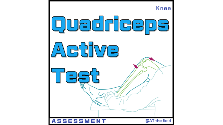 Quadriceps active test(대퇴사두근 능동 검사) / 후방십자인대 손상 이학적 검사, 후방십자인대 파열 검사 ...