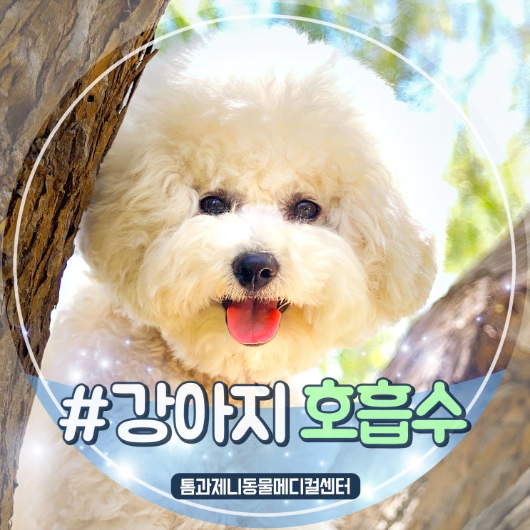 강아지 호흡수 체크 지나치게 늘어나면 질병일수도? : 네이버 블로그