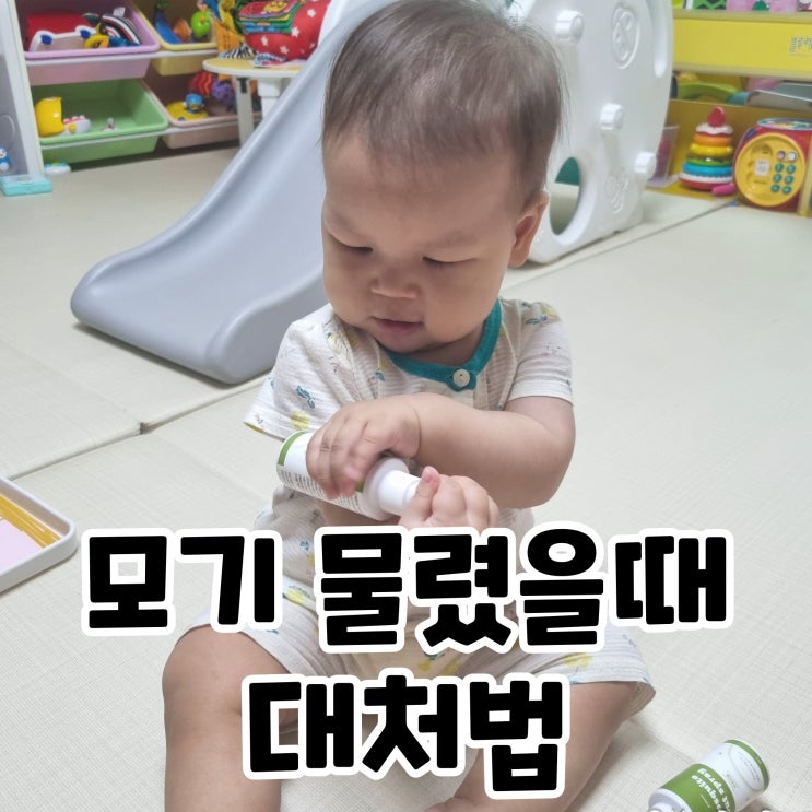 아기 모기 물렸을 때 대처 방법 유아 모기 기피제로 아기 모기 알레르기 예방 플라팜 네이버 블로그