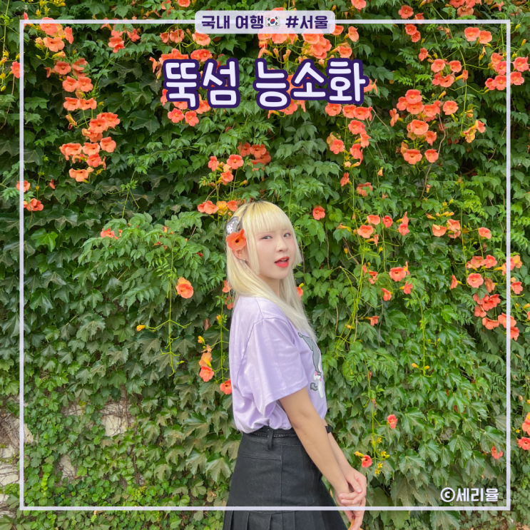 서울 능소화 명소 뚝섬유원지 능소화벽 위치 포토존 스팟 한강공원 나들이 네이버 블로그