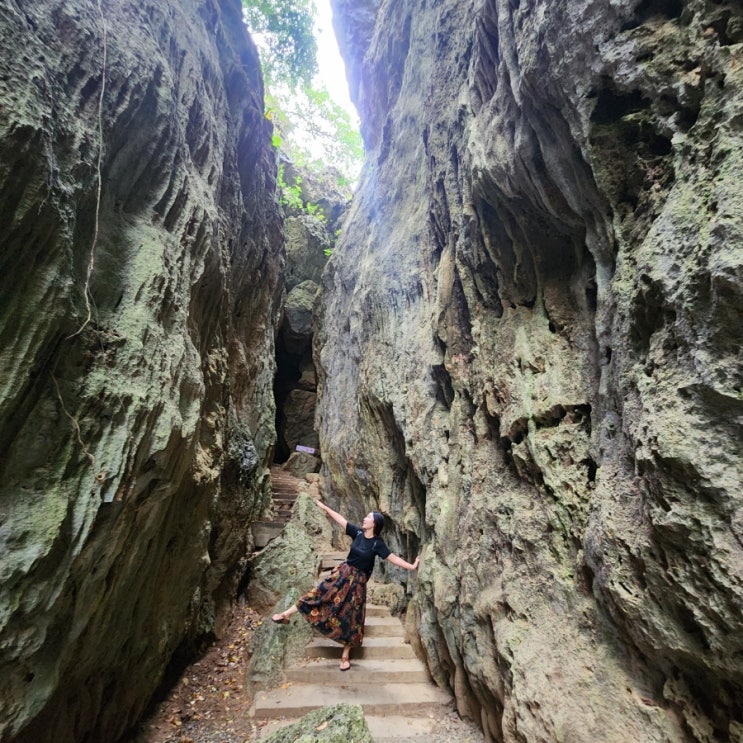 컨딩택시투어 일정 : 컨딩국가자연휴양림/룽판공원/국가해양생물박물관 등 : 네이버 블로그