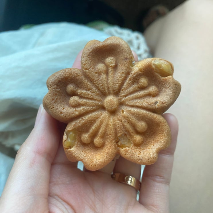 진해 여행🌸 2진해루 동부회센타 부엉이 카페 진해제과 벚꽃빵 네이버 블로그
