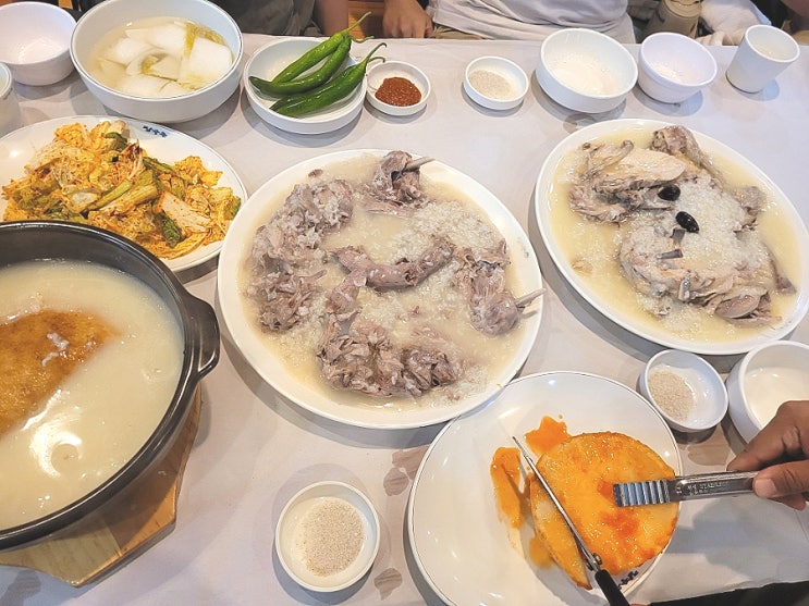 용인 맛집 삼계탕 백숙 맛집 장수촌 나혼자산다 Tv방영맛집 후기 네이버 블로그