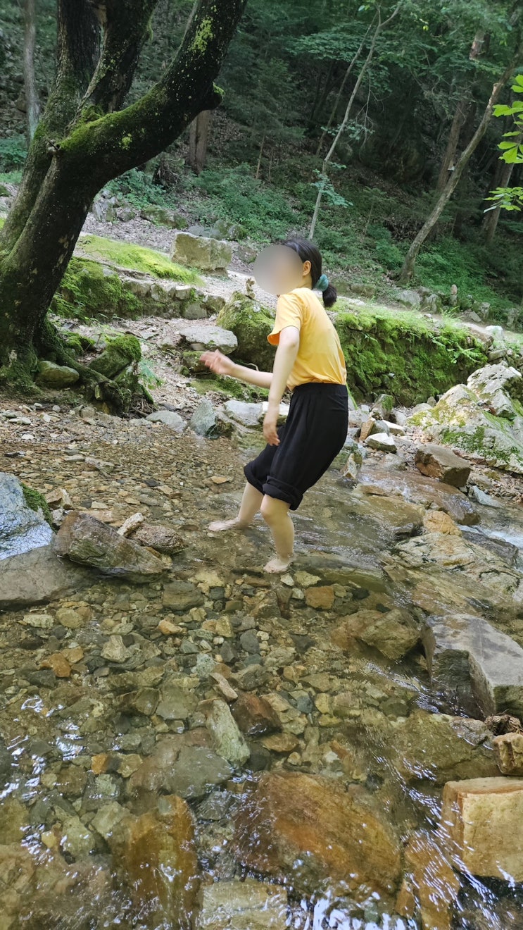 여름엔 시원한 동동주에 도토리묵 계곡에 발도 담그고 춘천 문배마을 최고 Feat장씨네 네이버 블로그
