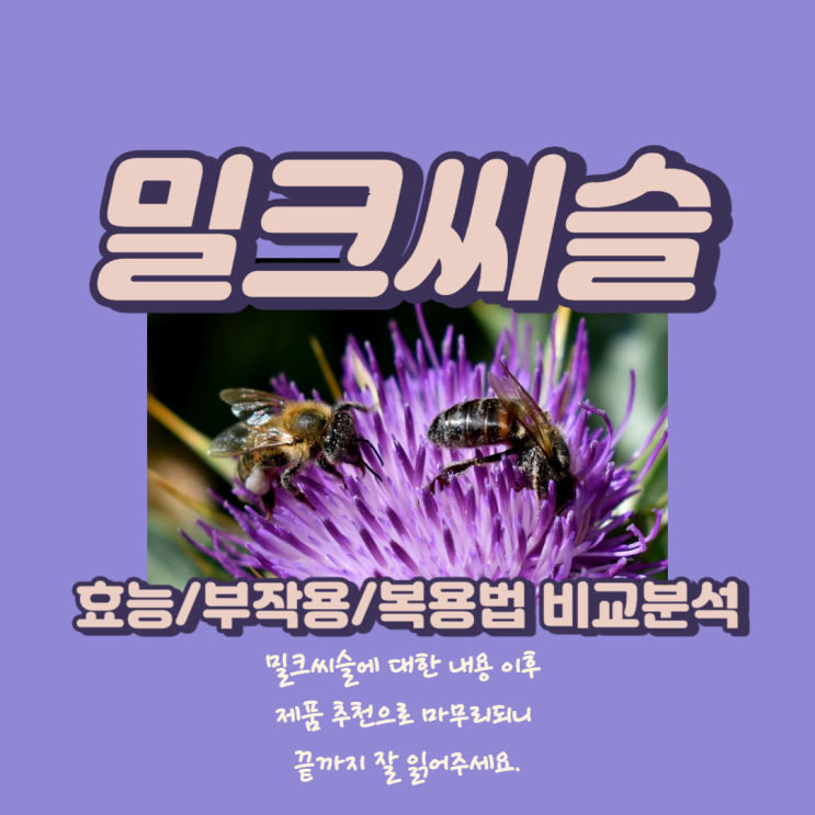 밀크씨슬 복용량 간영양제 효능 효과 복용후기 비교분석 네이버 블로그
