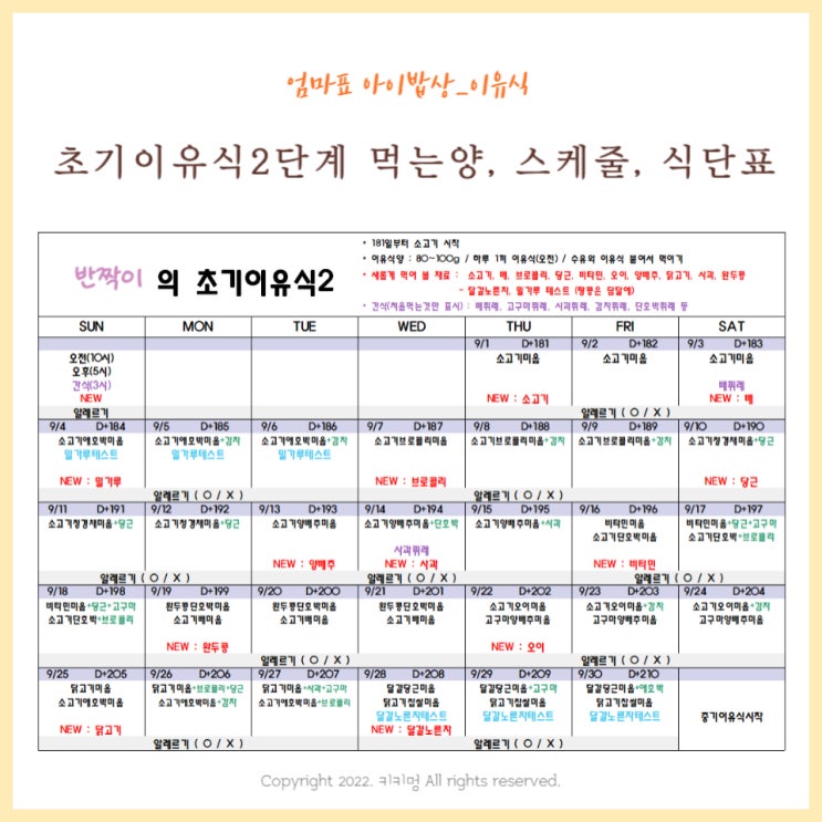 초기이유식 2단계 식단표 스케줄 먹는 양 이유식 분유 다 잘 먹는 아기 이유식 초기2 두끼 식단표 네이버 블로그