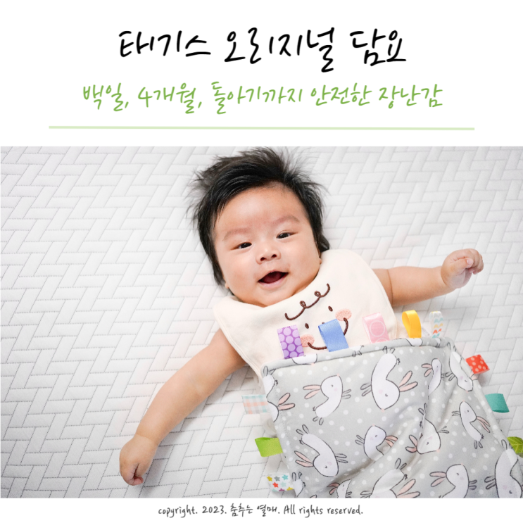 4개월 아기 장난감 백일부터 돌아기까지 태기스로 네이버 블로그