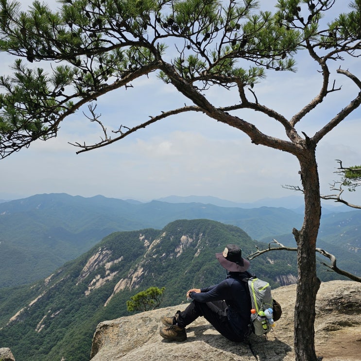 괴산 희양산 등산코스 백두대간 희양산의 풍경 은티마을 최단코스 산행 149좌 완등 네이버 블로그