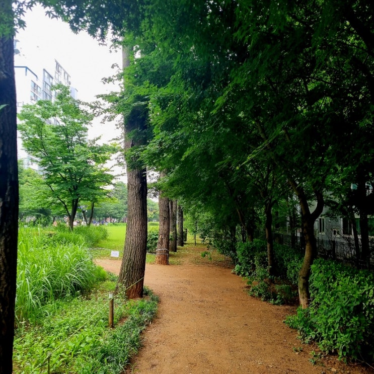 놀거리 많은 연남동 경의선 숲길 가볼만한곳 연트럴파크 식당과 팝업스토어 옷쇼핑 기타등등 네이버 블로그