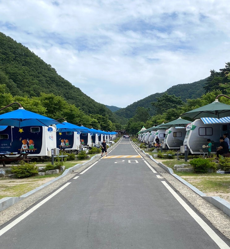 경북 영천 계곡 대구 근교 아이랑 물놀이 가볼만한 곳 치산관광지캠핑장 치산계곡 카라반 후기 예약팁 네이버 블로그
