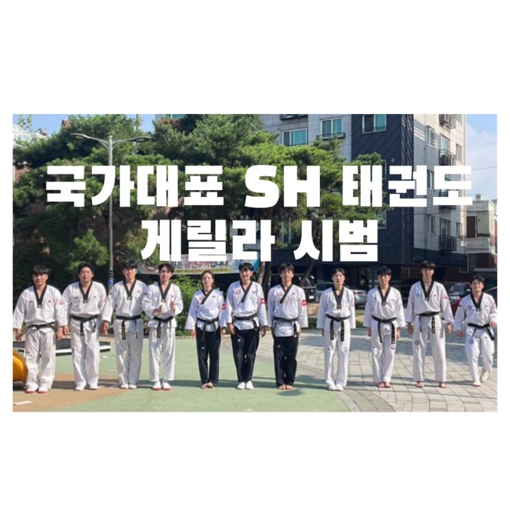 세류동 태권도권선동 태권도국가대표 Sh 태권도신곡 초등학교남수원 초등학교권선 초등학교게릴라 시범 네이버 블로그