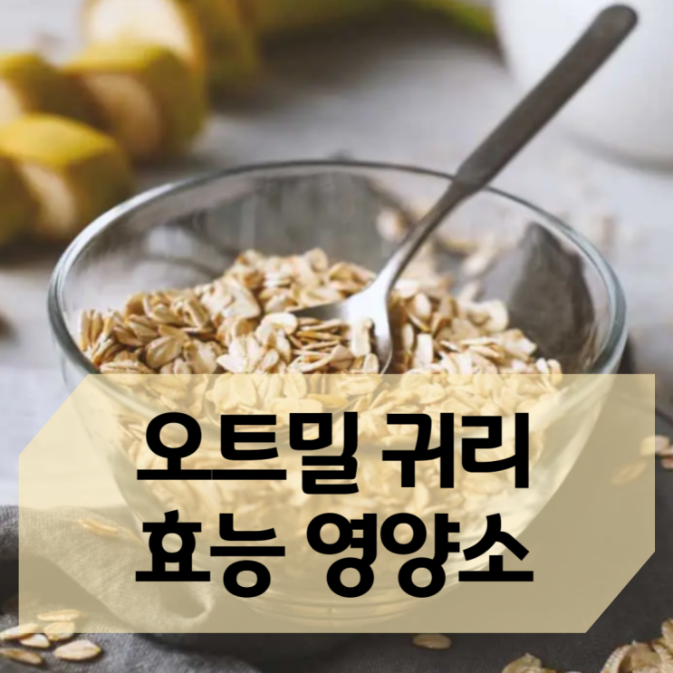 귀리 오트밀 효능 차이 영양성분 칼로리 부작용 네이버 블로그