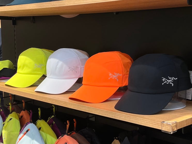 칼버스 캡 (CALVUS CAP) _ 아크테릭스의 인기쟁이 볼캡 : 네이버 블로그