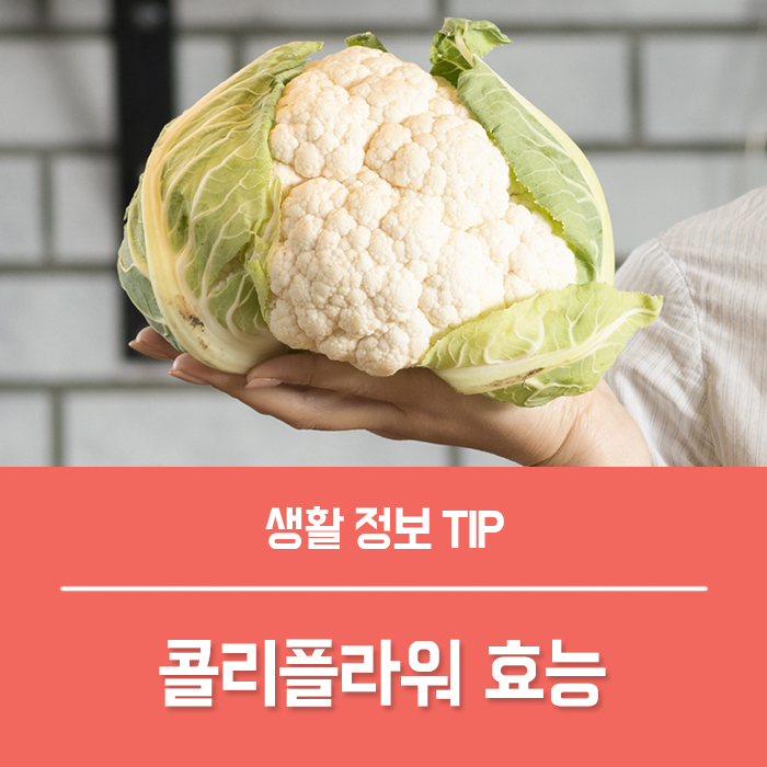 콜리플라워 효능 부작용 칼로리 영양성분 총정리 네이버 블로그