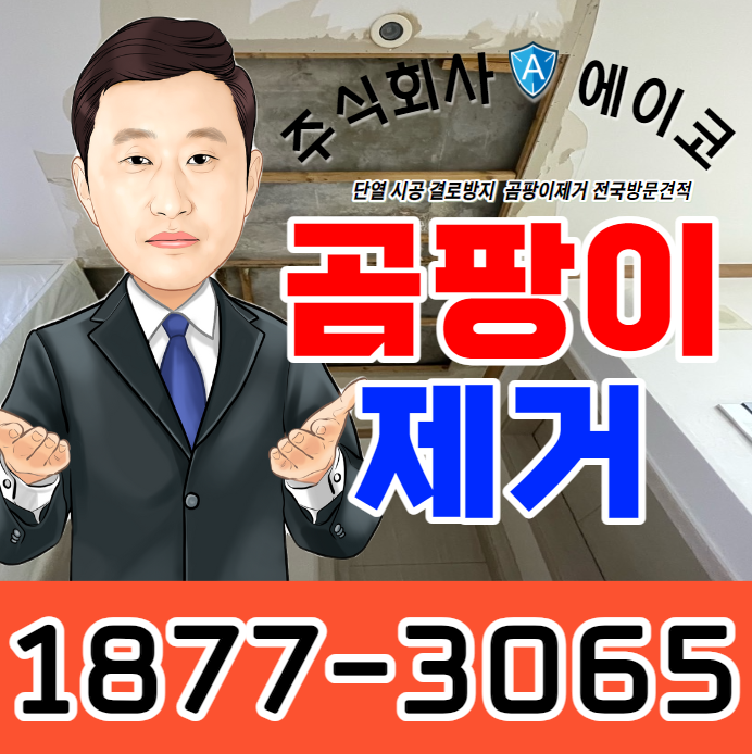 인천 천장 곰팡이 제거 부천 결로방지공사 업체시흥 가격 네이버 블로그