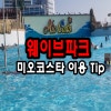 시흥 웨이브 파크 경기도 아이와 가 볼만한 곳 이용후기 Tip 네이버 블로그