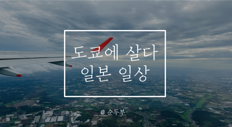 일본도쿄 일상 7월 나리타 공항에서 나하 공항 2터미널 점심 3터미널 이동 제트스타jet Star Aandw 버거