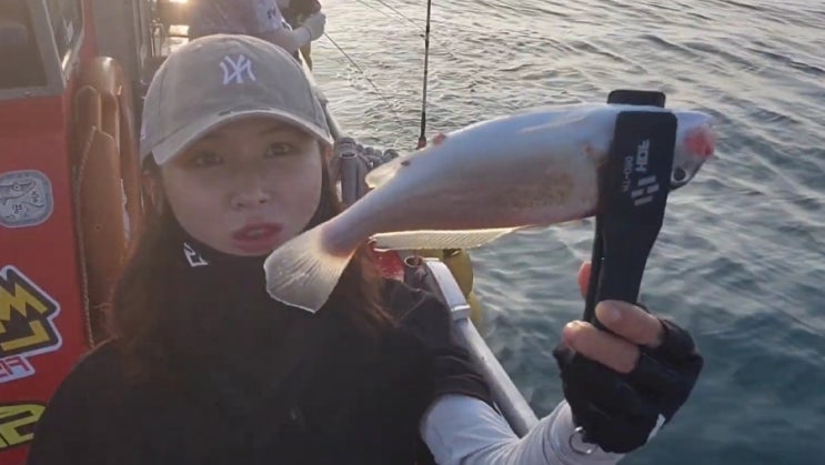 헤라호 백조기낚시 유튜버/인플루언서 : 네이버 블로그