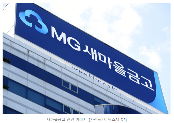 새마을금고 원금·이자 보장유사시 정부 차입 지원종합 네이버 블로그