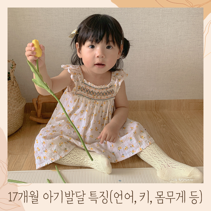 17개월 아기발달 특징언어 키 몸무게 등 네이버 블로그