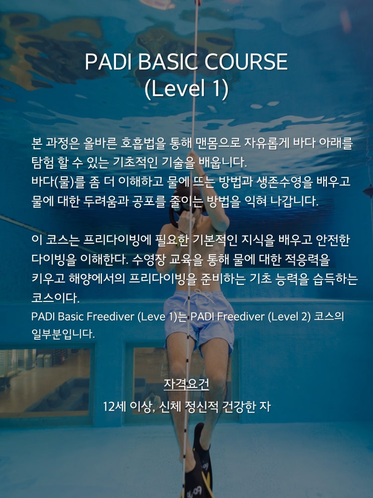 PADI BASIC FREEDIVER COURSE (Level 1) : 네이버 블로그