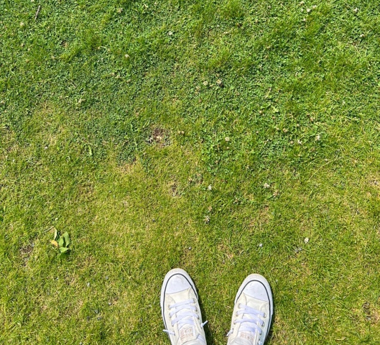 [런던 9, 10일차 / 하이드파크 / Cutty Sark / 그리니치 천문대] 현지인처럼 살아보기 : 네이버 블로그