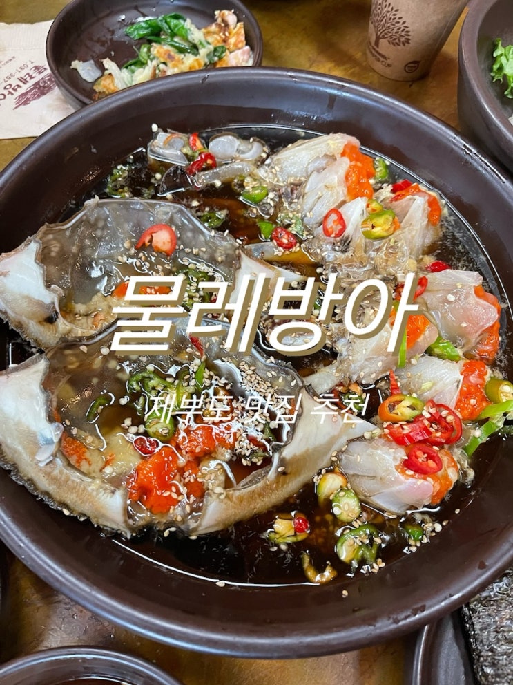제부도맛집제부도한식제부도맛집추천 한정식 맛집”조개구이나 회가 안땡길때는 물레방아 ” 네이버 블로그