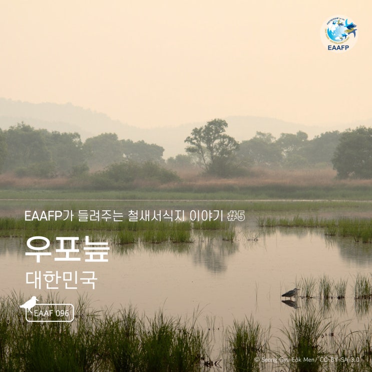 "EAAFP가 들려주는 철새서식지 이야기 #5"_ 대한민국_우포늪 [EAAF 096] : 네이버 블로그