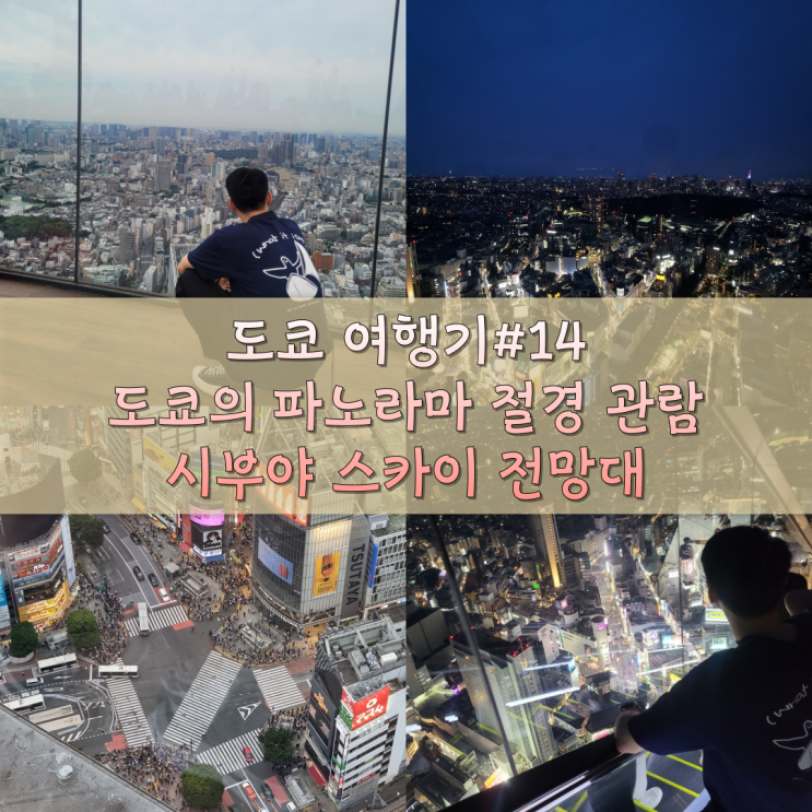 도쿄의 파노라마 절경 관람 시부야 스카이 전망대feat 시부야 스크램블 교차로 네이버 블로그