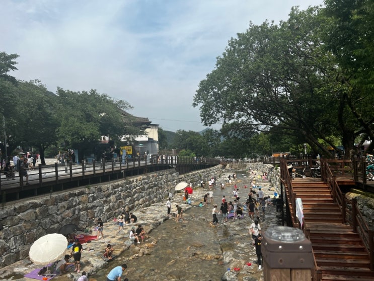세종 대전 근교 계곡 나들이 공주 동학사 계곡 및 주차 꿀 팁 물가에서 먹는 백숙 네이버 블로그