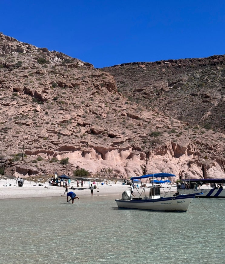[멕시코 La Paz 여행🇲🇽 ⓾] 인생 여행지, 바하캘리포니아,말레꼰 비치,Isla del Espiritu Santo ...