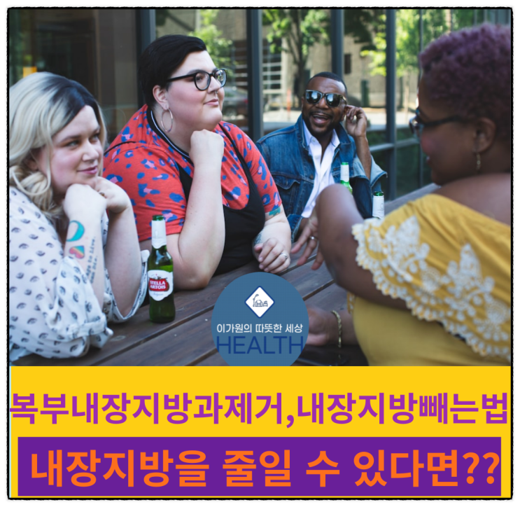 내장지방분해 복부내장지방과 분해 내장지방 빼는법 네이버 블로그