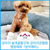 강아지 슬개골탈구와 강아지 관절염 영양제에『본아페티』영양제 추천 네이버 블로그