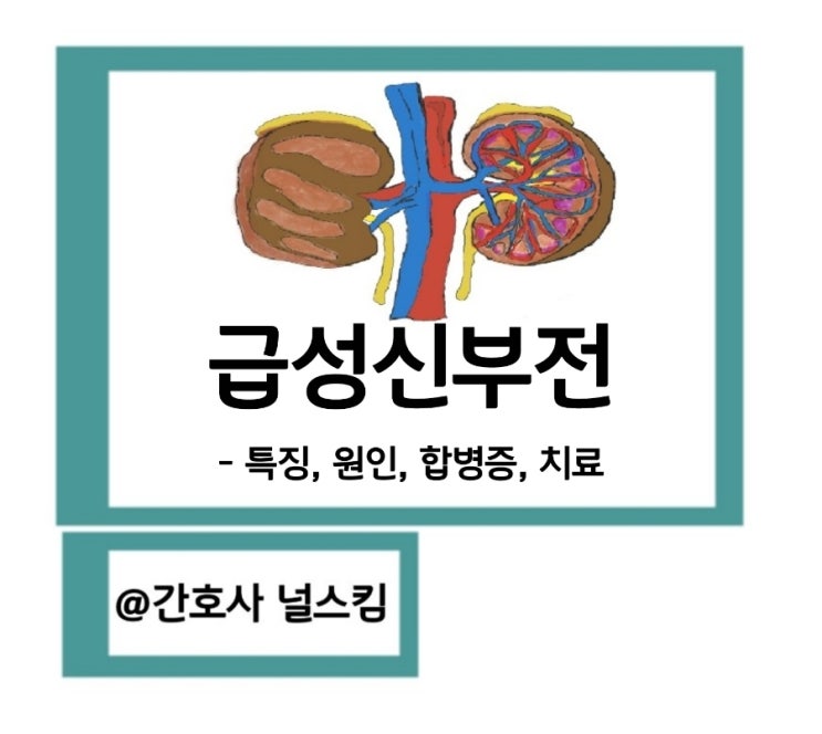 AKI, ARF 의학용어(급성신부전) 증상 및 원인, 치료, 합병증 : 네이버 블로그