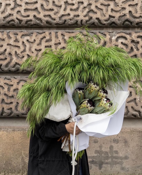 뻔하지 않은, 새로운 시각을 가진 식물 디자인 스튜디오 [This Humid House] : 네이버 블로그