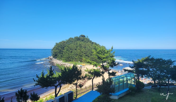 가족여행으로 가기 좋은 마차진해수욕장과 금강산콘도에서 2박3일 저층 오션뷰 네이버 블로그