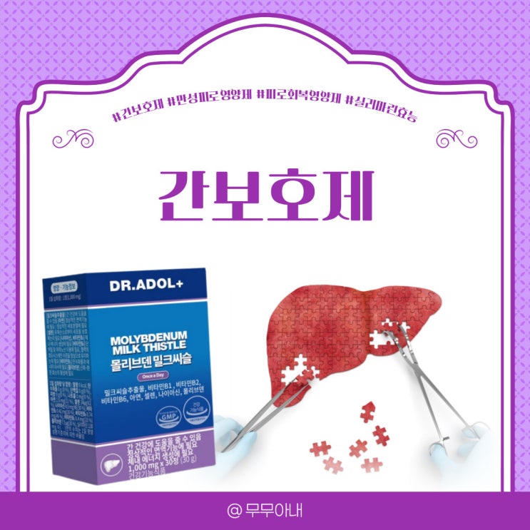 간보호제 추천 만성피로영양제 피로회복영양제 실리마린 효능 네이버 블로그