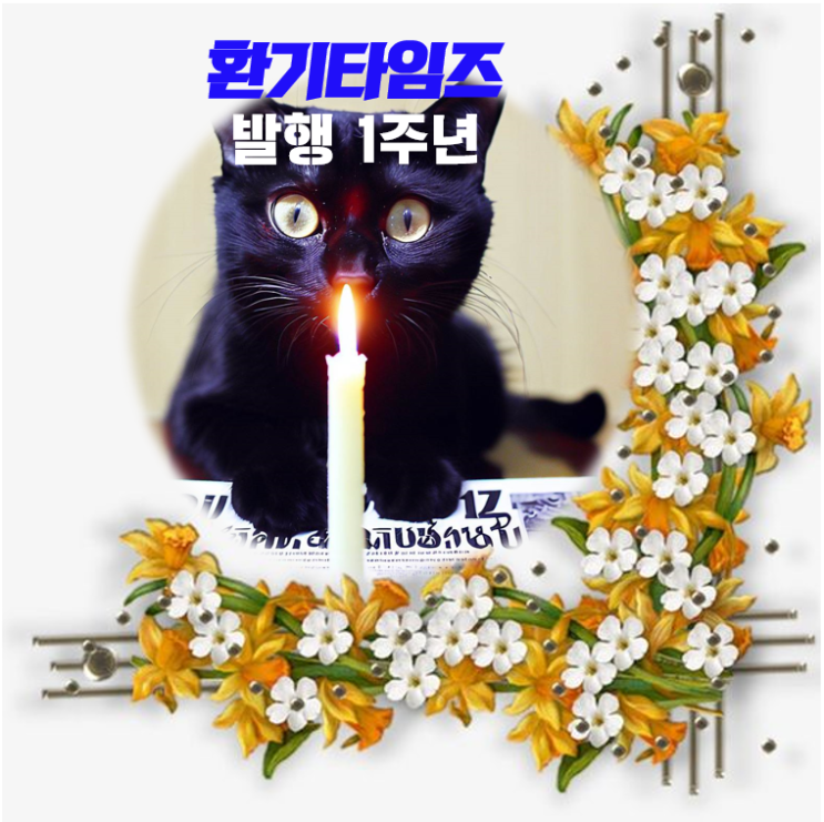 환기타임즈 발행 1주년환기ventilation관련 상식 환풍기 전열교환기 시공 사례 필터 제조 일상 글 포스팅