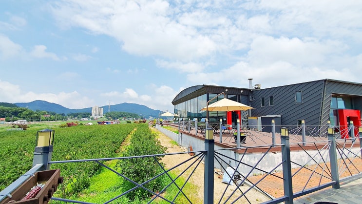 강화도당일치기여행 이곳은 어떠신가요 석모도당일치기 여행코스 강화도갈만한곳 당일치기여행지 네이버 블로그