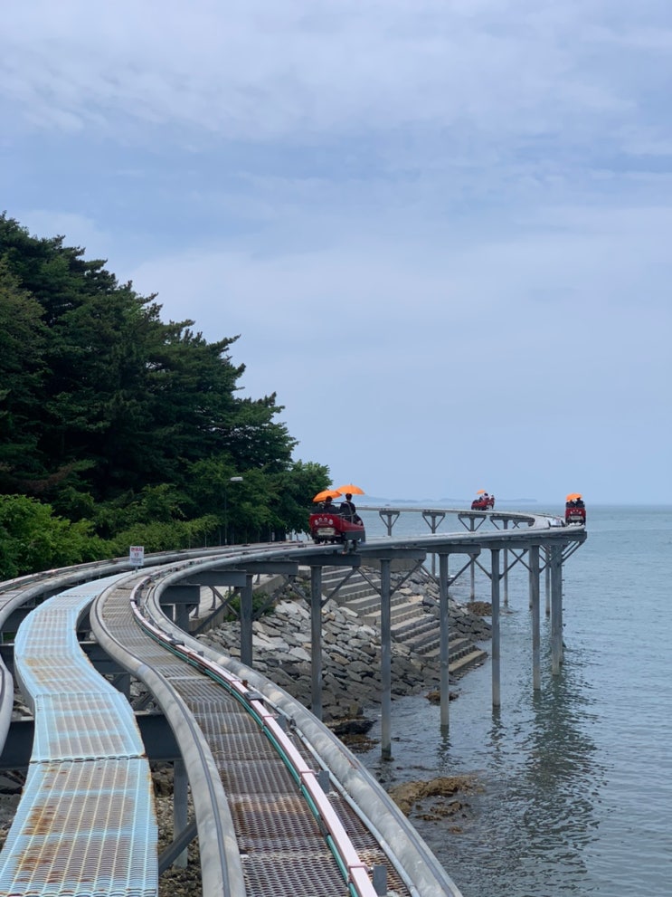 보령 대천 스카이바이크 대천해수욕장 놀거리는 바로 이것 짚라인 스카이바이크 추천 네이버 블로그