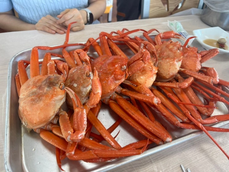 속초 식당 홍게대게무한리필타운 홍게 무한리필게맛집뷰맛집 네이버 블로그